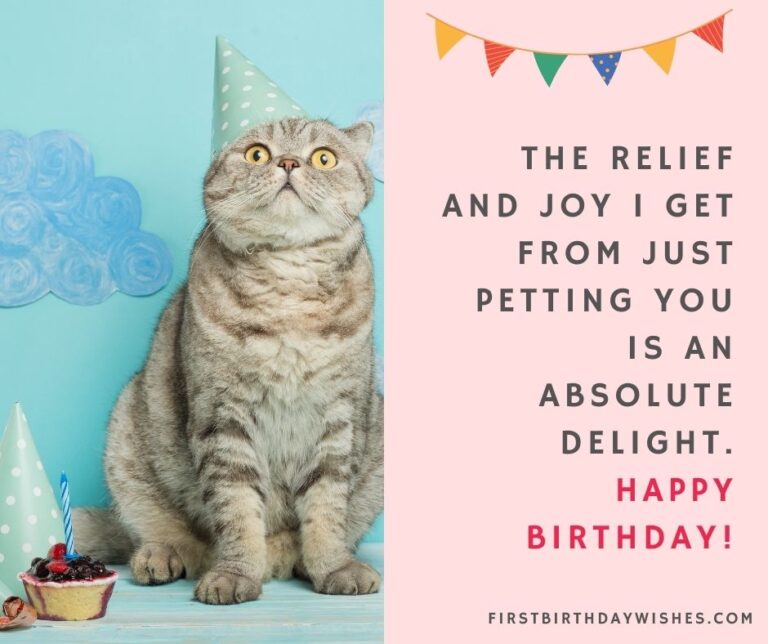 Best 200+ Birthday Wishes for Cat | Happy Birthday, Kitty!